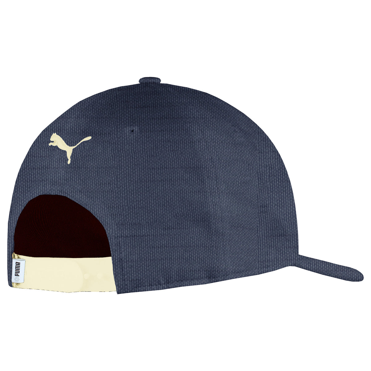 Puma P 110 Adjustable Mens Grey Golf Cap – Sport It First